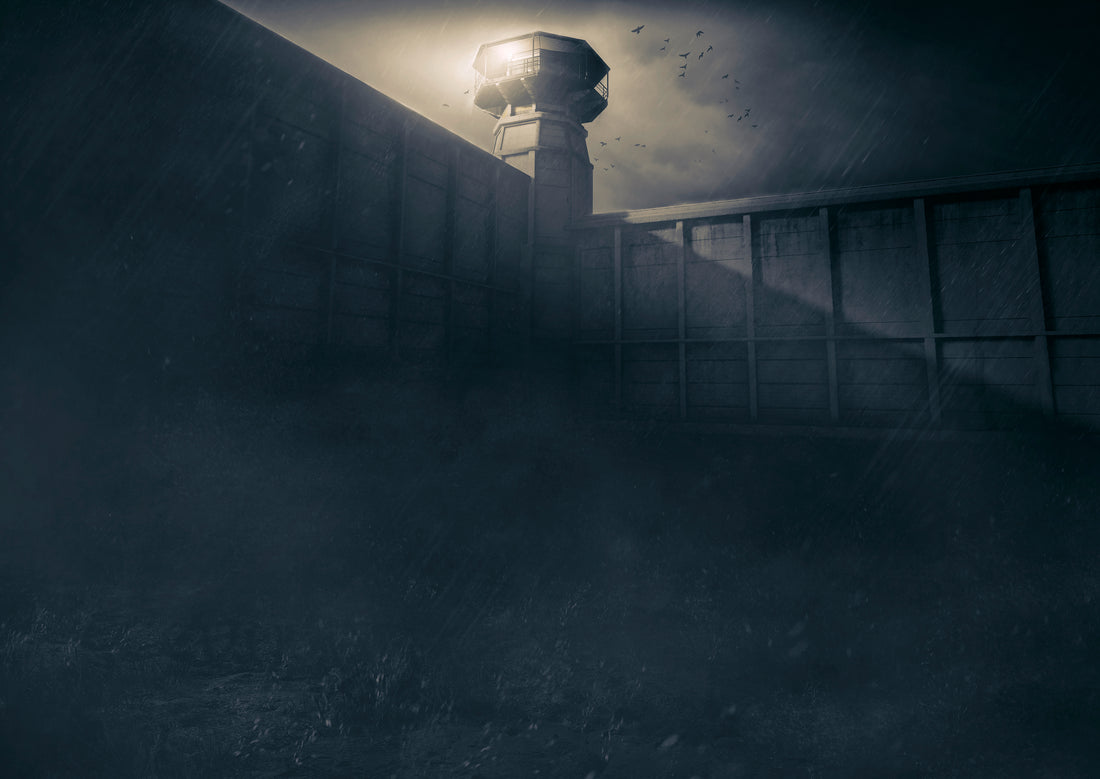 A Way Out - Official Gear Store – Official Hazelight Gear Store